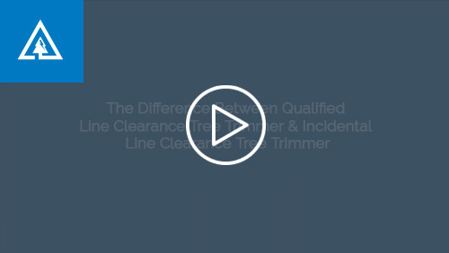 The Difference Between Qualified Line Clearance Tree Trimmer ...